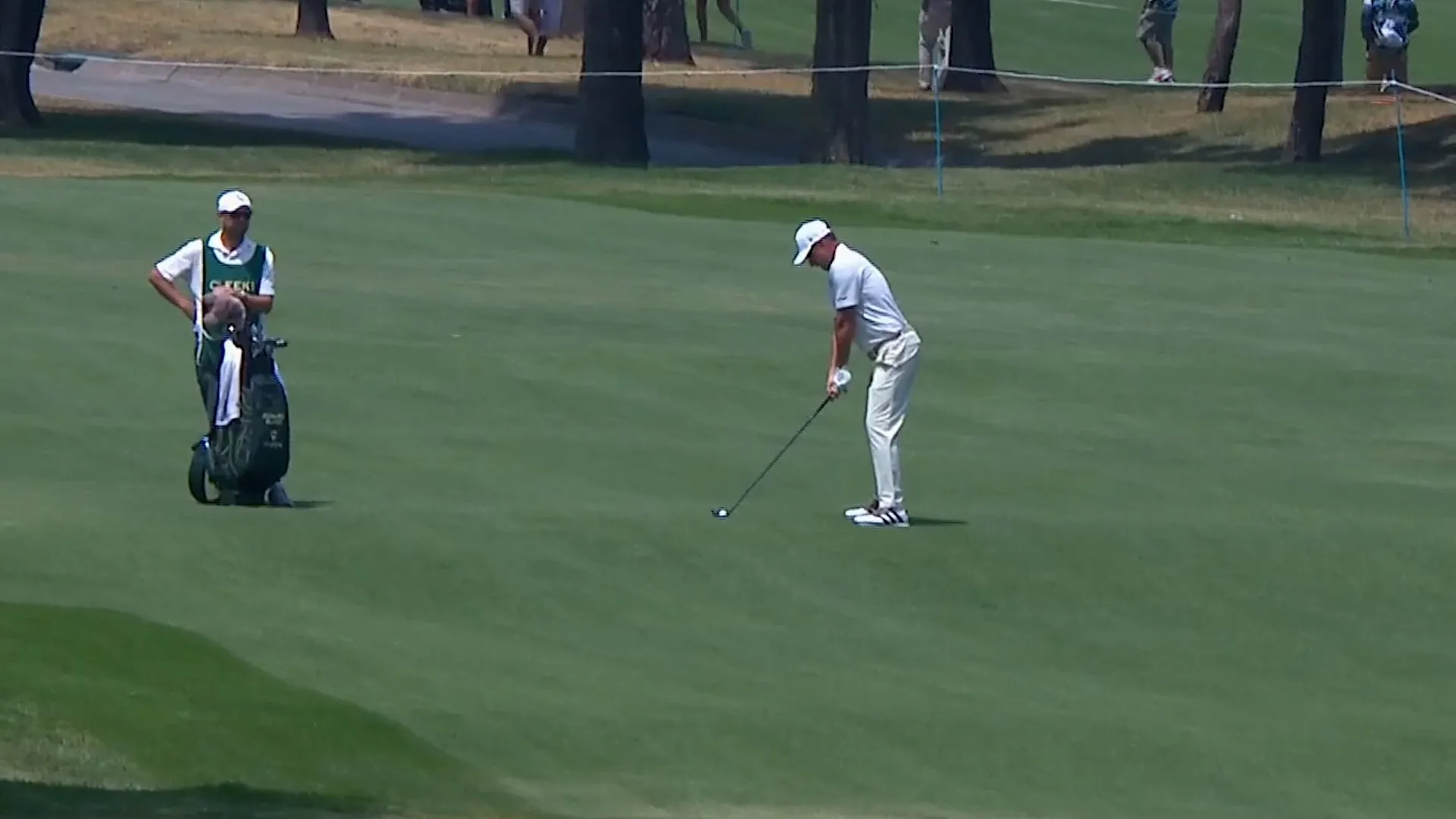 Watch: Bland makes an albatross in Rd. 2